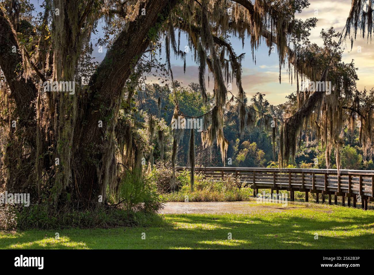 Wooden bridge outside hi-res stock photography and images - Alamy