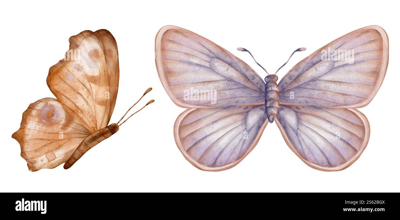 Set of delicate cute peach beige brown butterflies. Hand drawn ...
