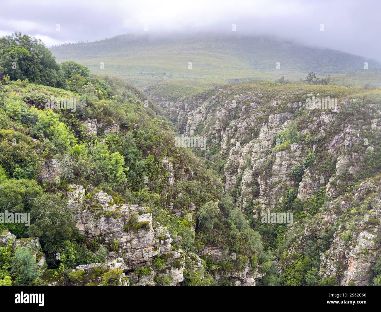 Rocky landscape near Bloukrans Bridge, Bloukrans river gorge, South ...