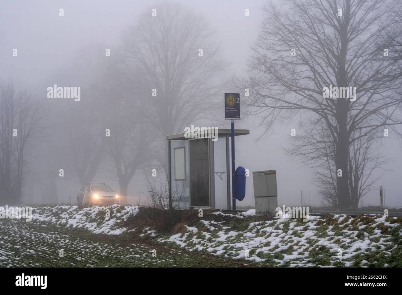 Dichter Nebel, mit Sichtweiten teils unter 100 Metern, Landstraße ...