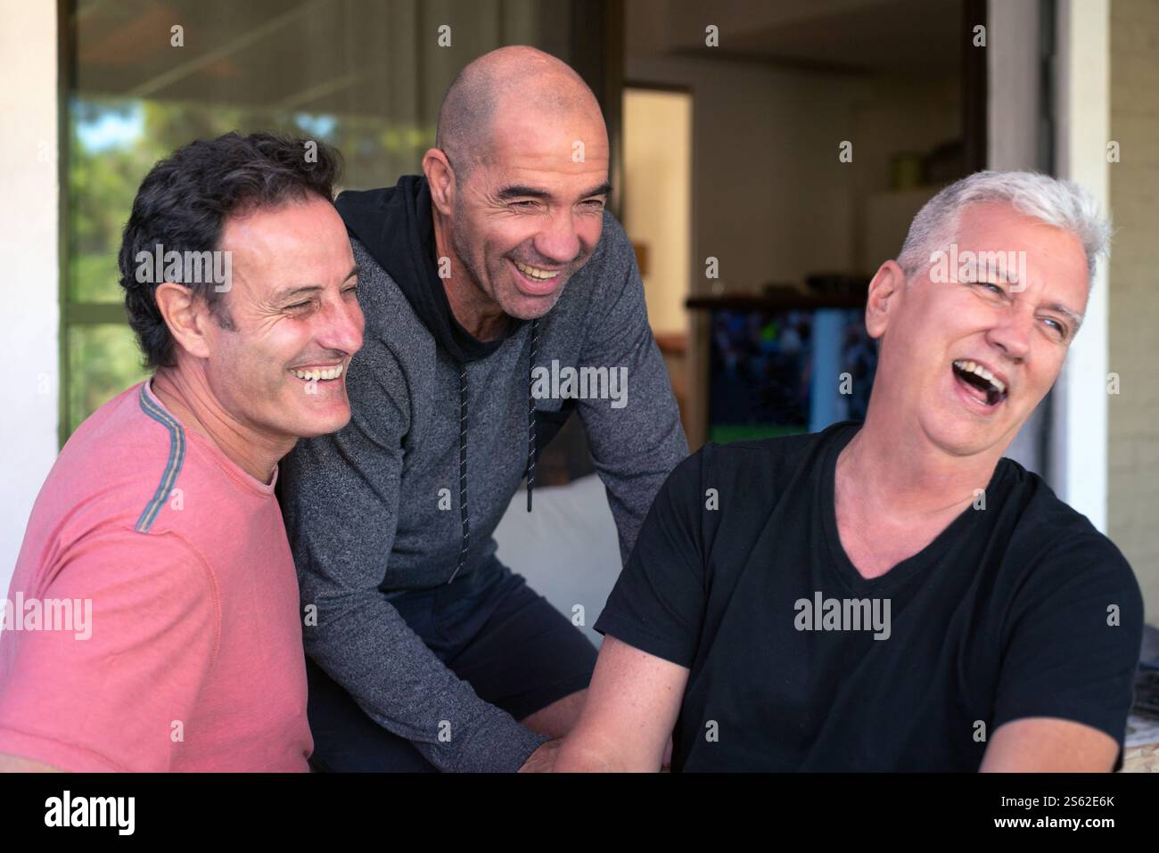 happy older friends smiling and enjoying a day together Stock Photo - Alamy