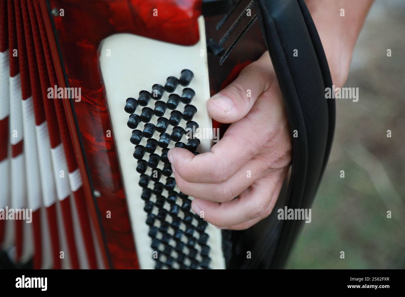 Fingers Moving Fast On The Buttons Of The Accordion Stock Photo - Alamy