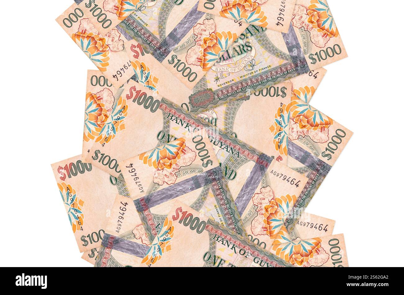 1000 Guyanese dollars bills flying down isolated on white. Many ...