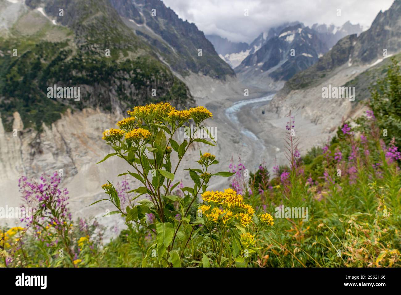 Alps scenic landscape on Tour du Montblanc. Rocky and snow summit peaks ...