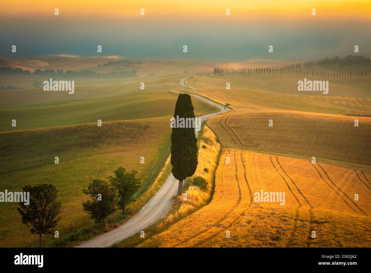 Tuscany cypress tree road hi-res stock photography and images - Alamy