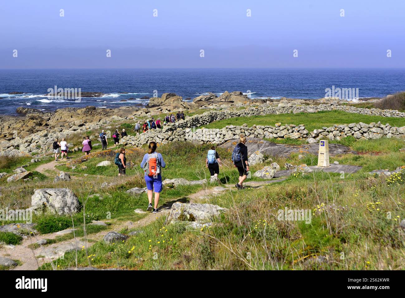 Group of pilgrims to compostela on the portuguese coastal route Stock ...