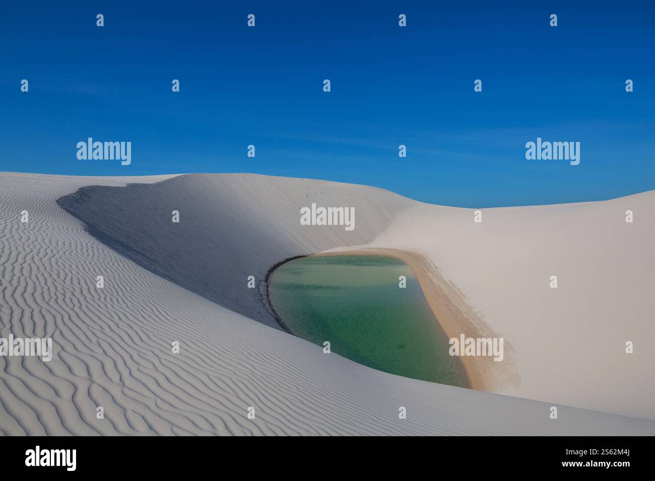 Lagoons in the desert of Lencois Maranhenses National Park, Brazil ...