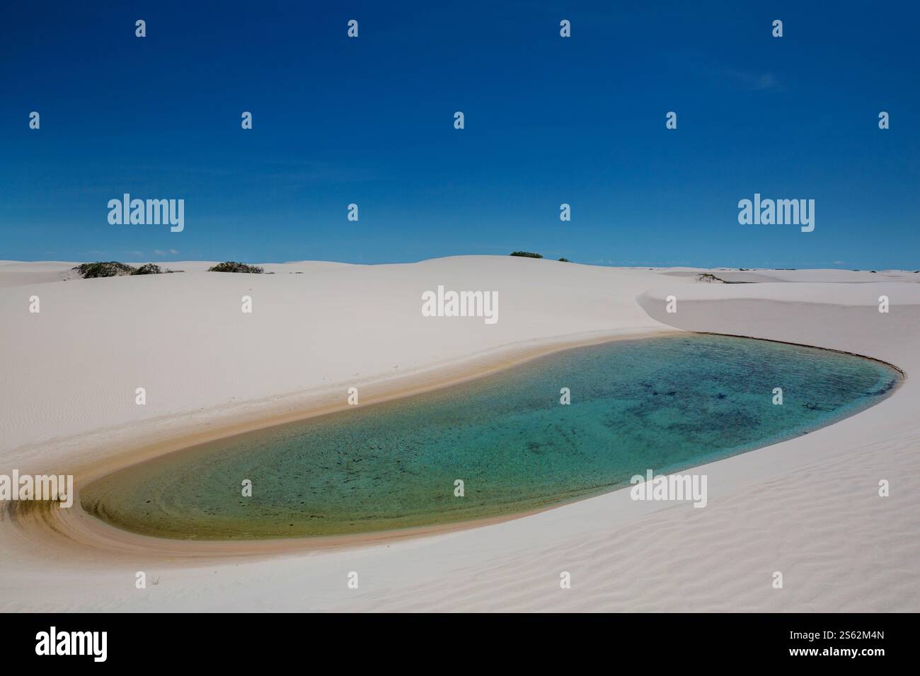 Lagoons in the desert of Lencois Maranhenses National Park, Brazil ...