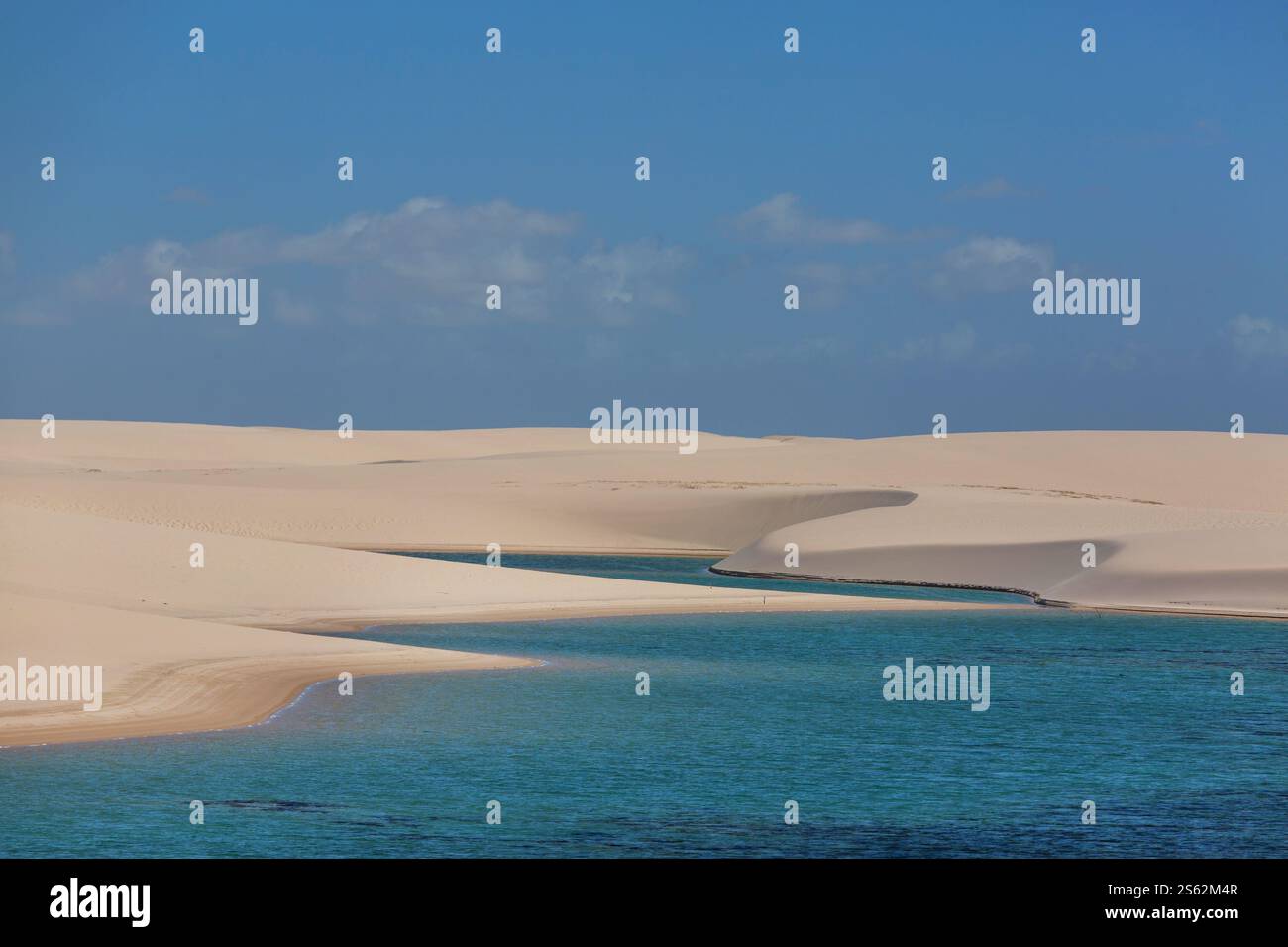 Lagoons in the desert of Lencois Maranhenses National Park, Brazil ...
