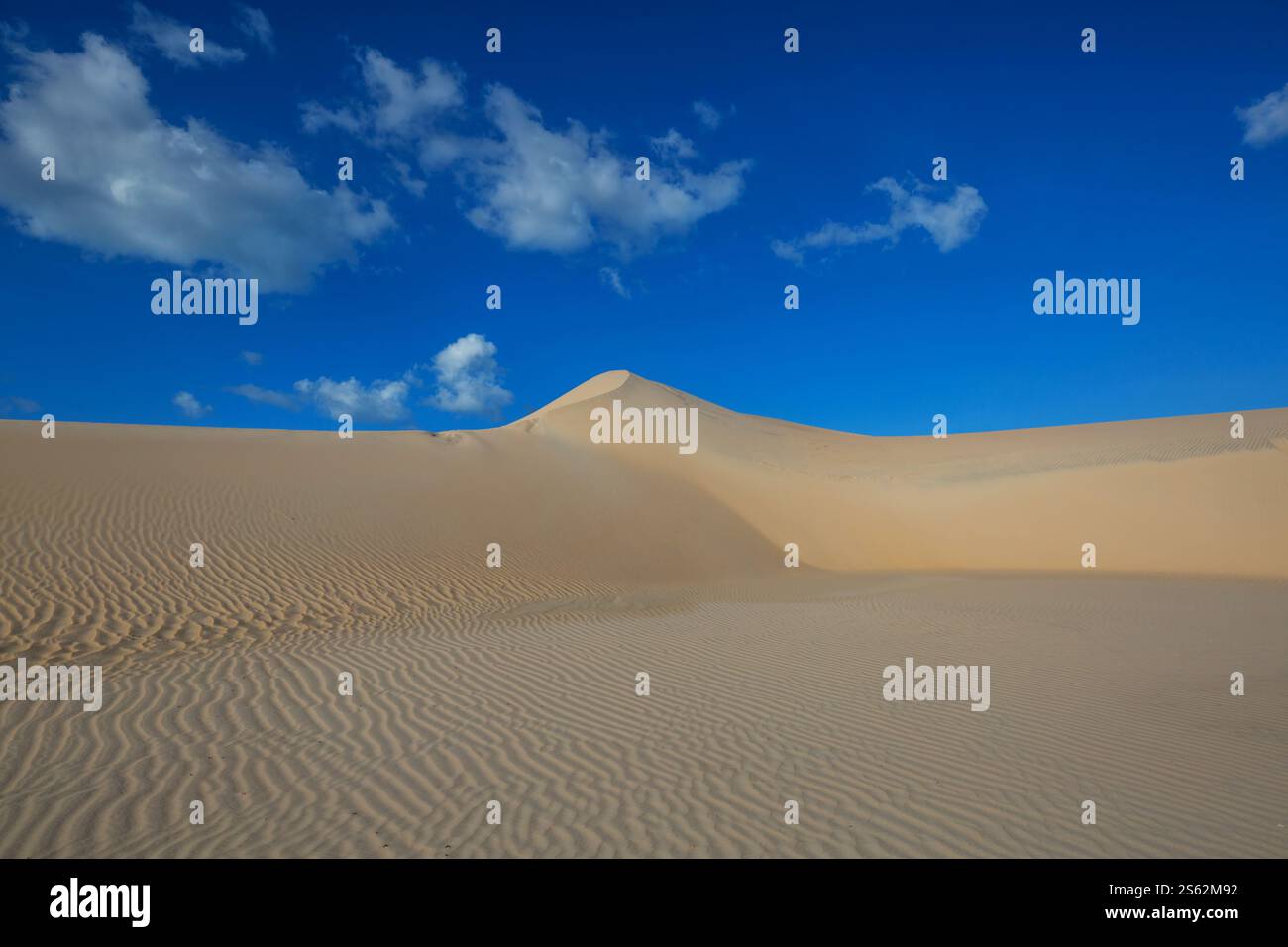 Sand dunes in northern Brazil at sunset Stock Photo - Alamy