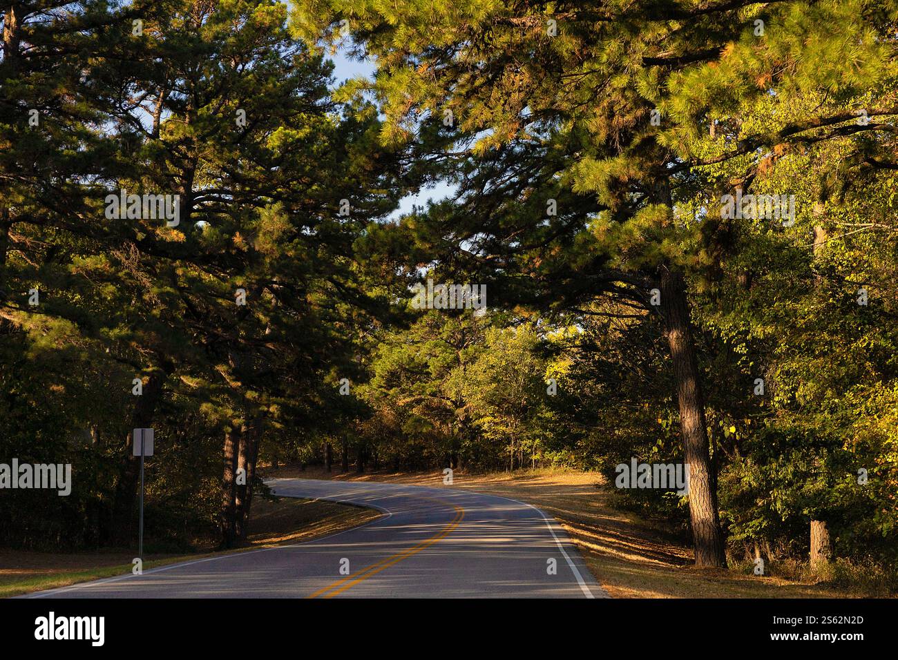 Paved road lined with trees leading into Sequoyah State Park in Hulbert ...