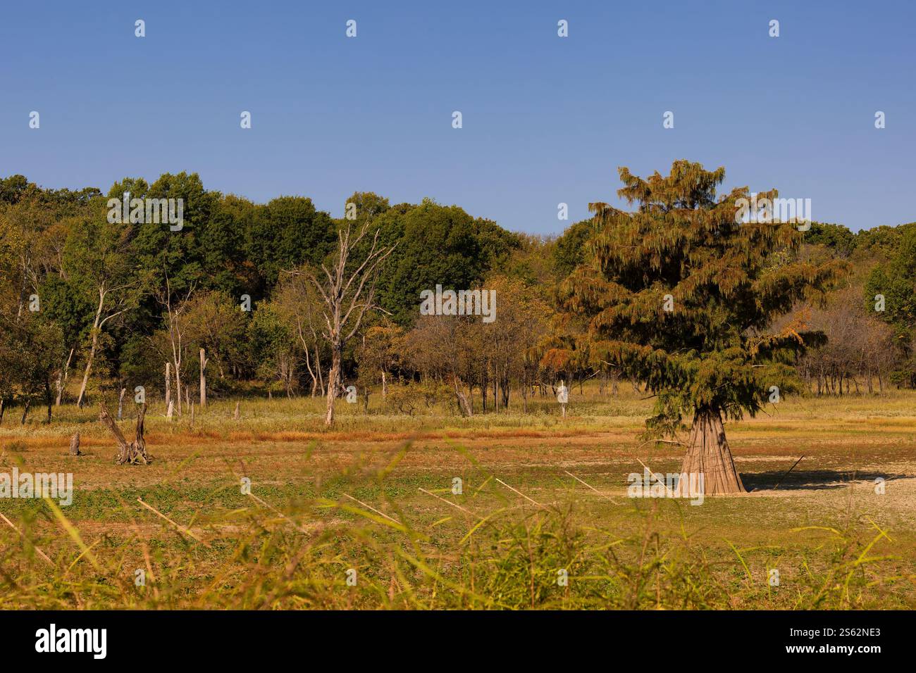 Landscape view at Sequoyah State park, Hulbert, Oklahoma, USA Stock ...
