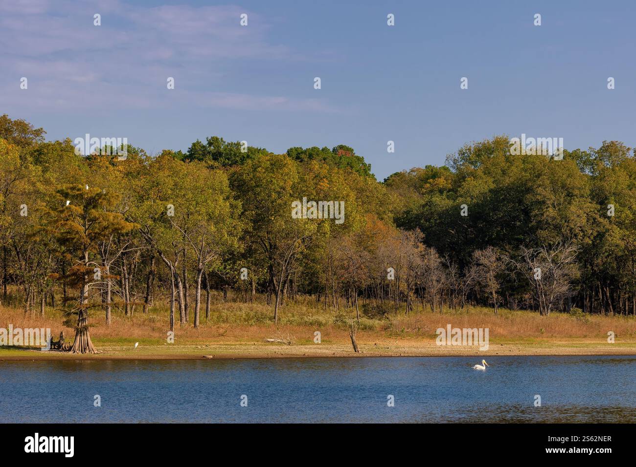 Fort gibson lake shore hi-res stock photography and images - Alamy