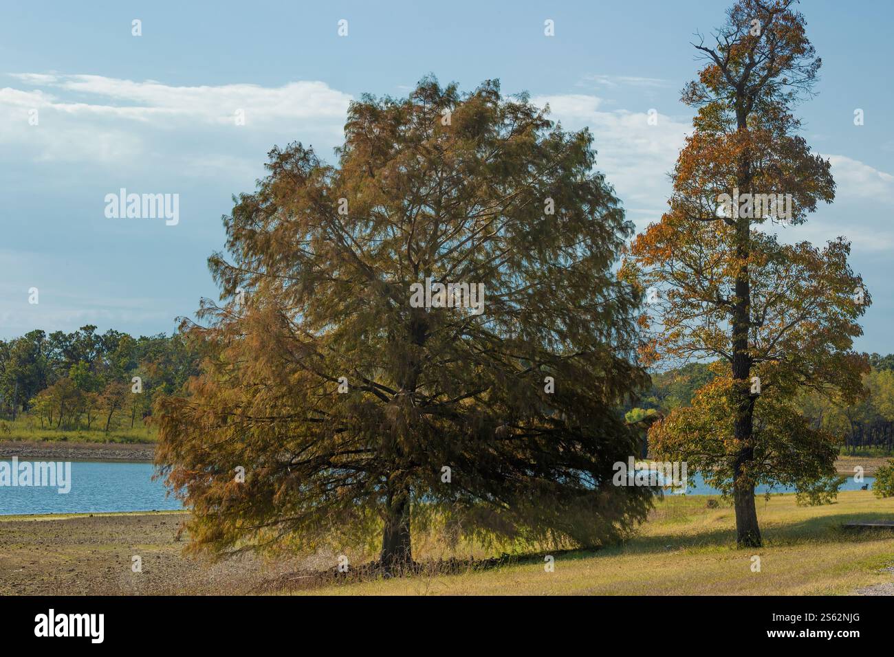 Landscape view along the shore of Fort Bigson Lake at Sequoyah State ...