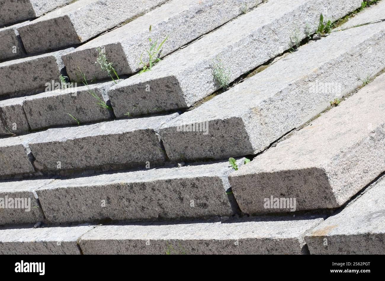 Stair concrete staircase at the entrance to the building. Concrete ...