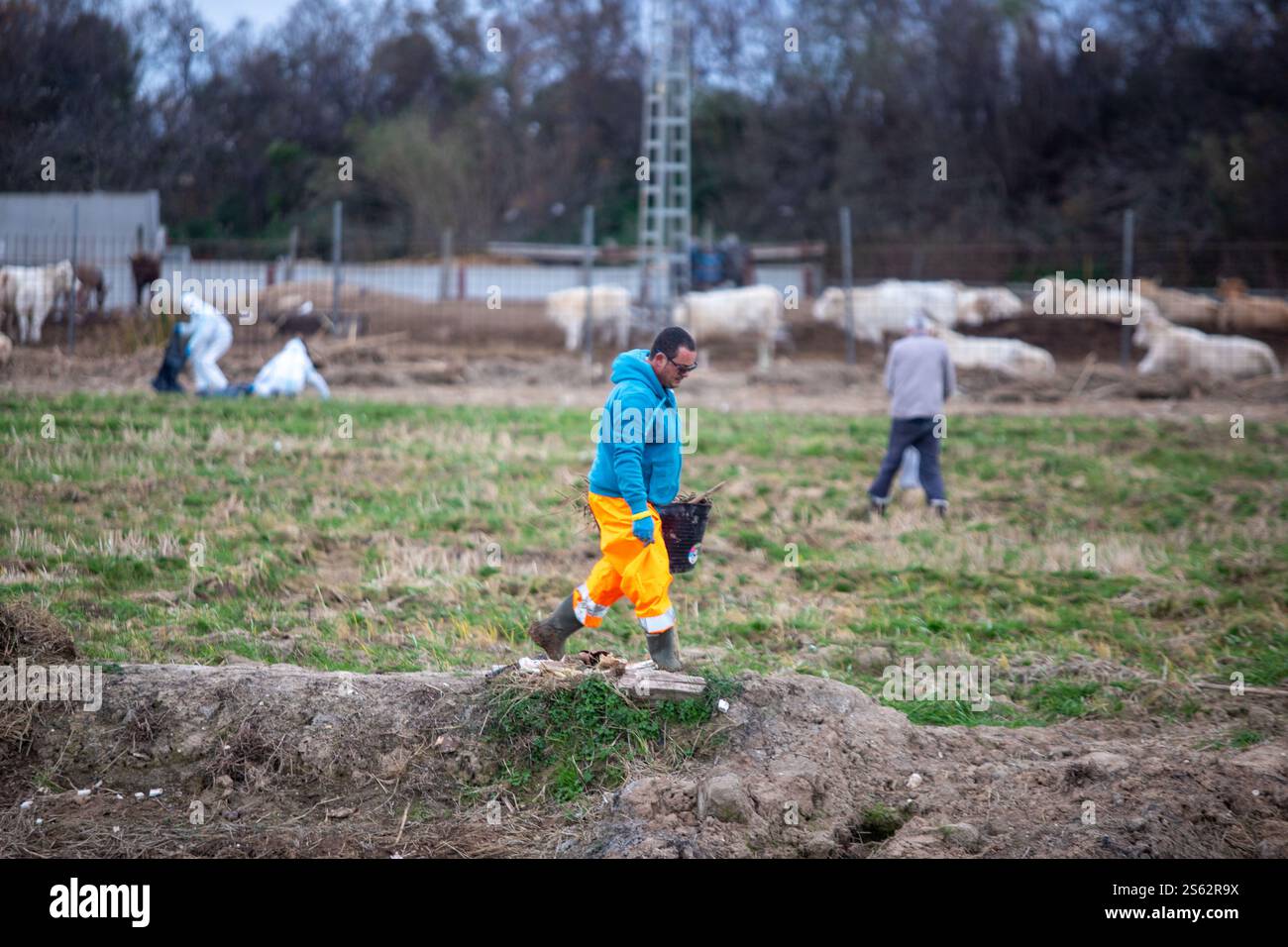 Volunteers clean fields of garbage, pellets, buildings, and chemical ...