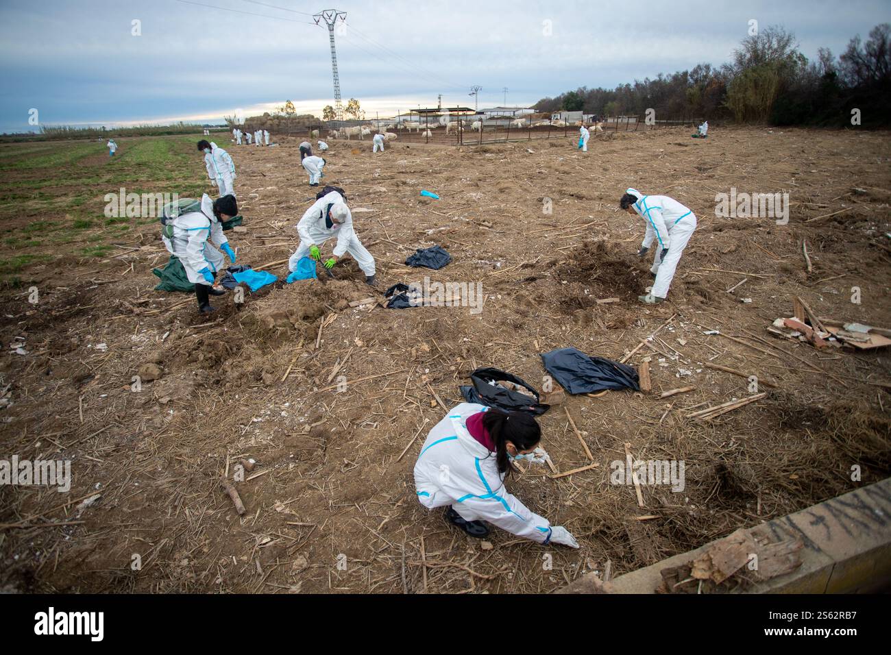 Volunteers clean fields of garbage, pellets, buildings, and chemical ...
