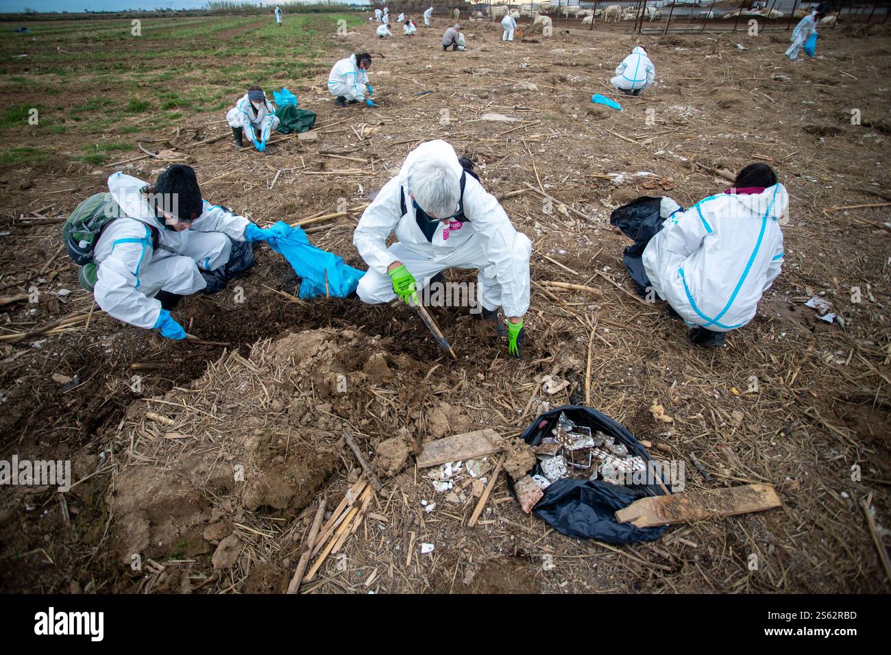 Volunteers clean fields of garbage, pellets, buildings, and chemical ...