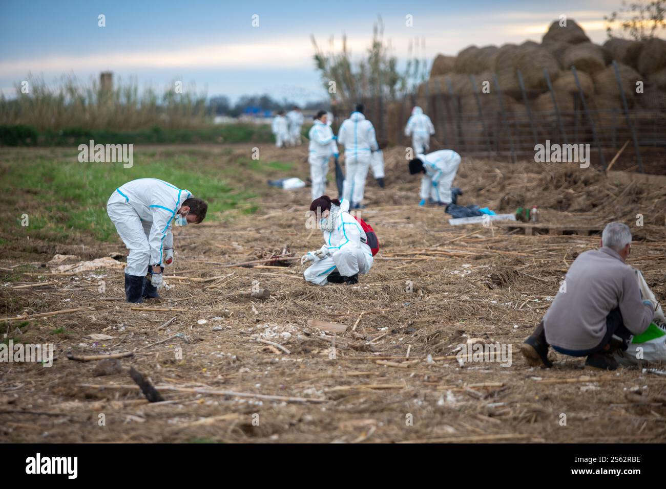 Volunteers clean fields of garbage, pellets, buildings, and chemical ...