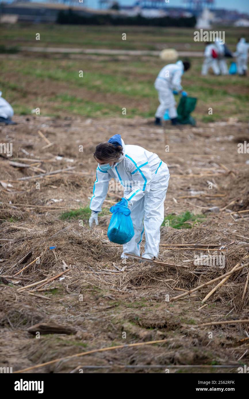 Volunteers clean fields of garbage, pellets, buildings, and chemical ...
