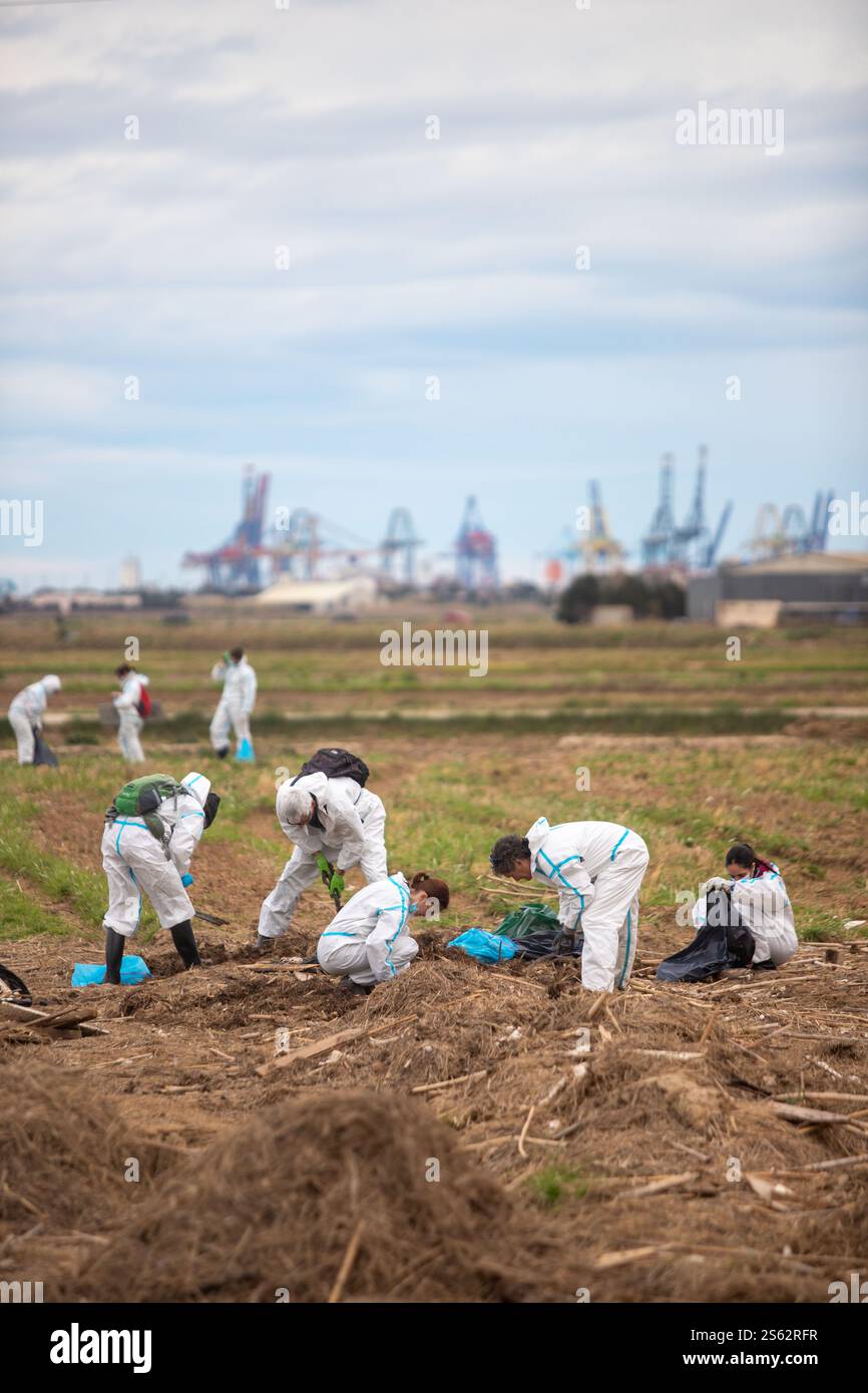 Volunteers clean fields of garbage, pellets, buildings, and chemical ...