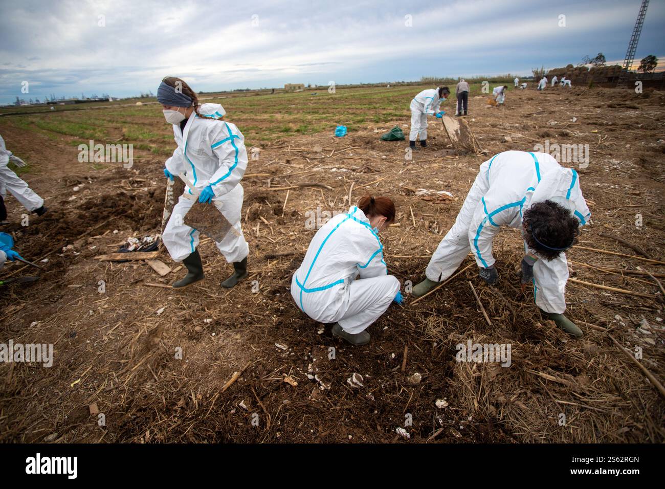 Volunteers clean fields of garbage, pellets, buildings, and chemical ...