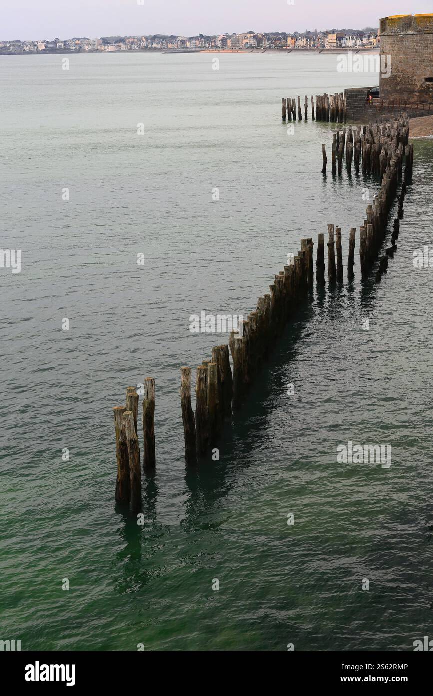 200 Oak wood piles from the Queen Bastion to the Ladies Tower planted ...