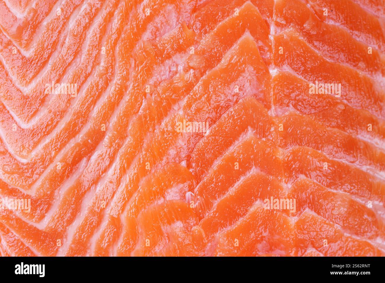 Texture background of fresh raw salmon or trout sea fish fillet macro ...