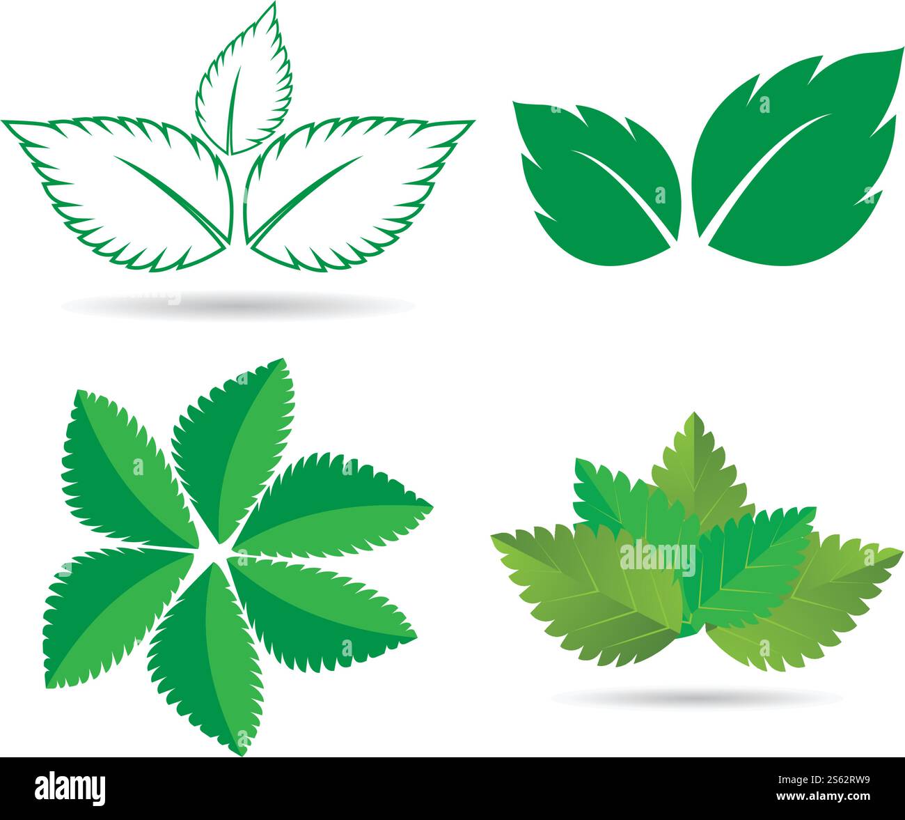 mint leaf logo template design Stock Vector Image & Art - Alamy