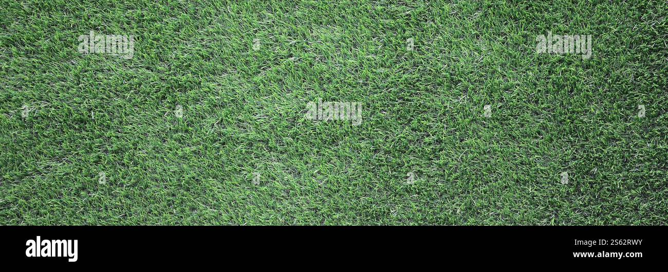 Green grass background, green lawn pattern textured background. Dark ...