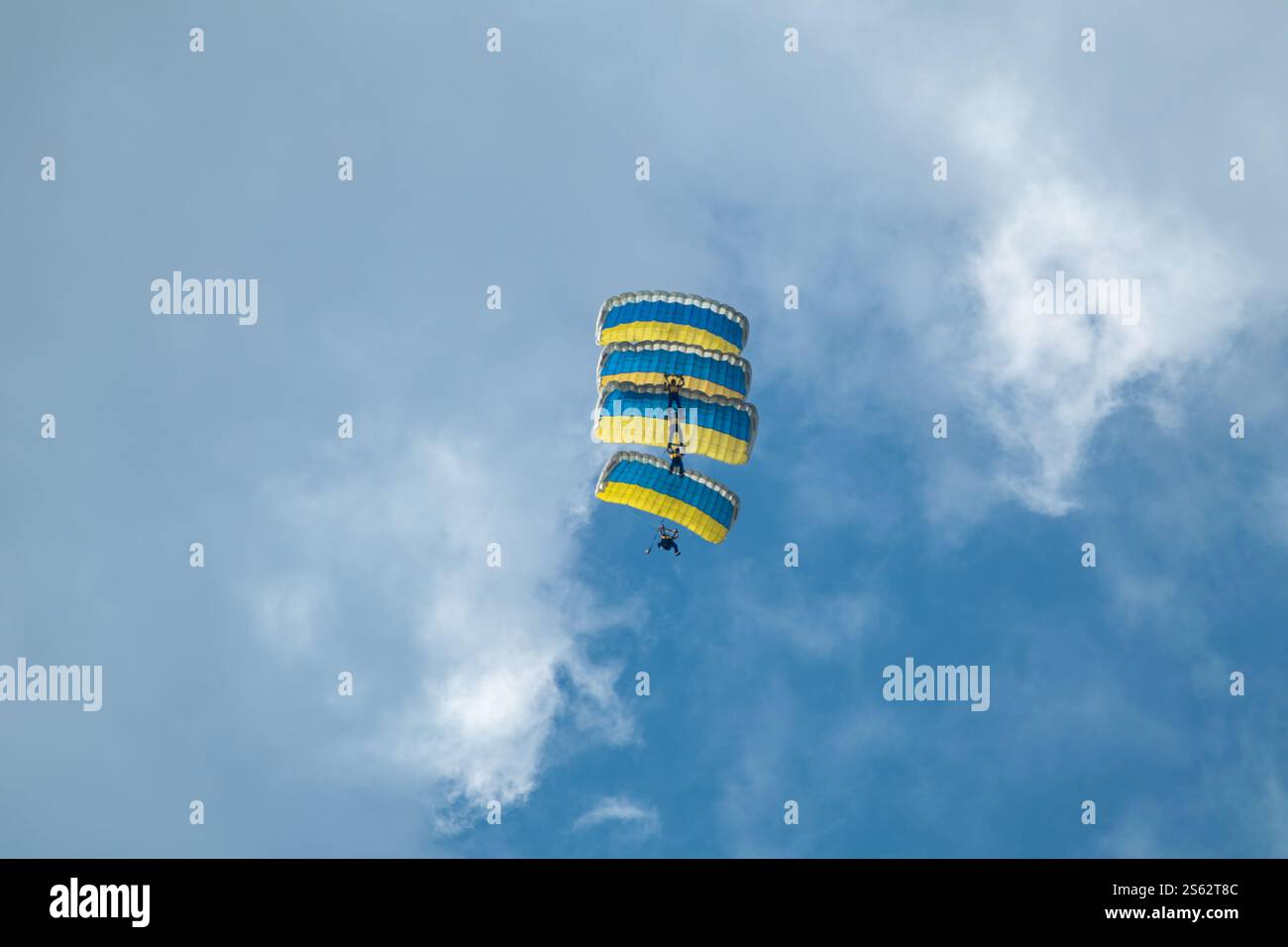 Look up on parachutists formation aerobatics with yellow-blue ukrainian ...