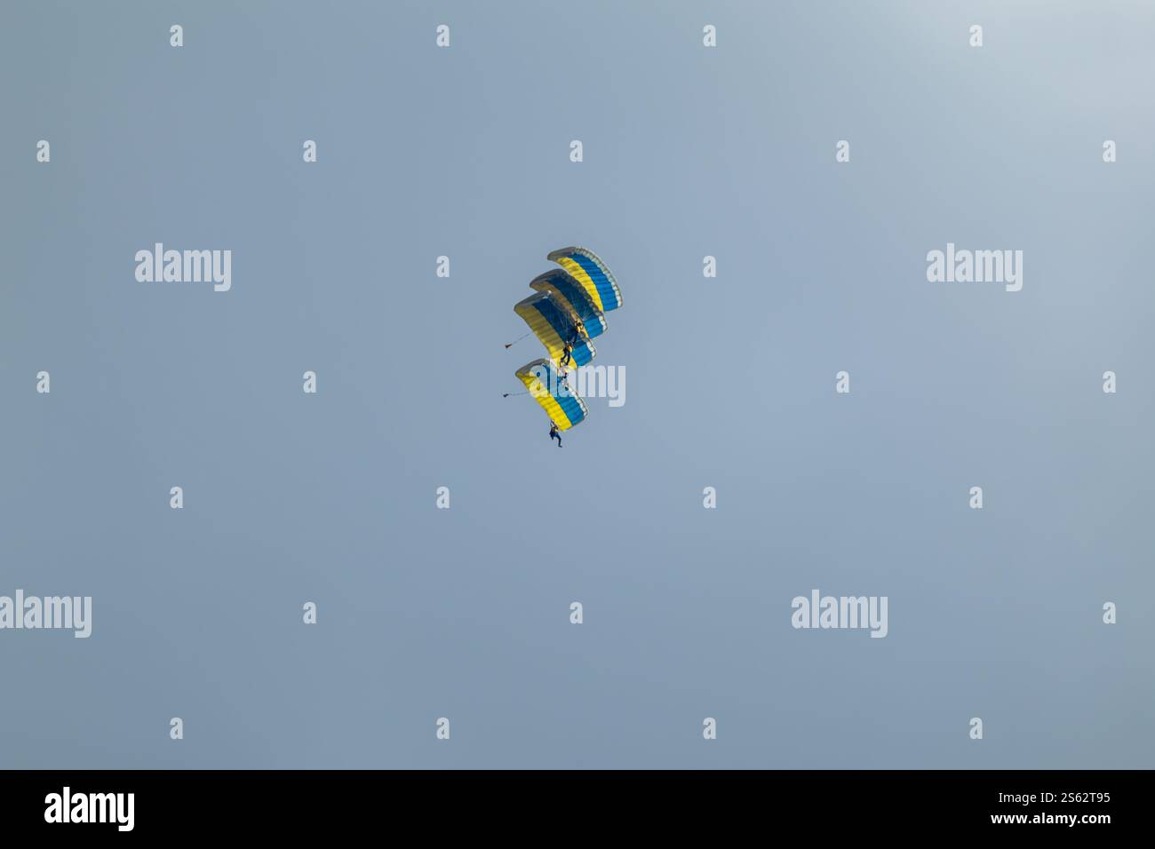 Scenic parachutists formation aerobatics with yellow-blue ukrainian ...