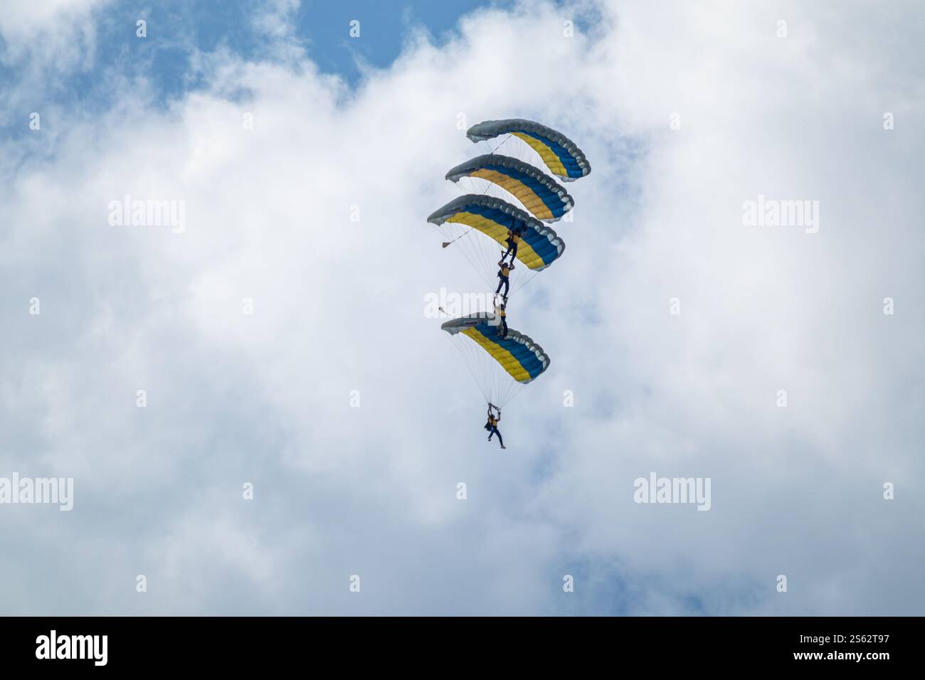 Four parachutists teamwork formation with yellow-blue ukrainian ...