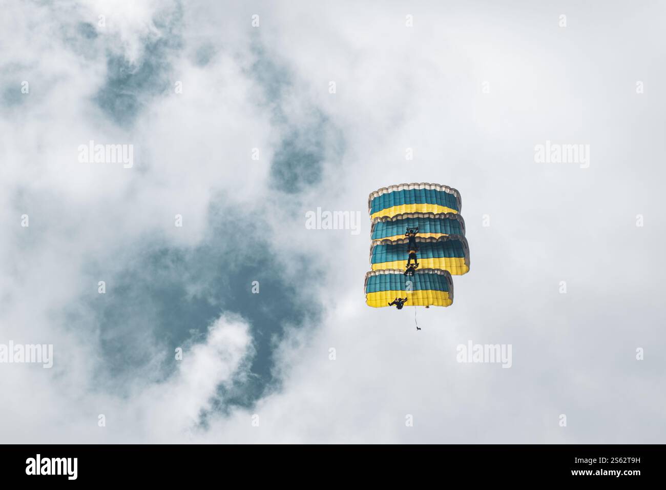 Scenic parachutists aerobatics with yellow-blue ukrainian parachutes in ...