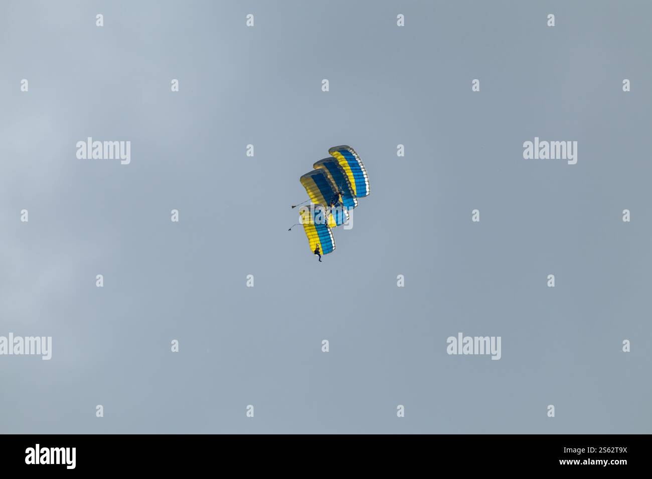Synchronized parachutists formation with yellow-blue ukrainian ...