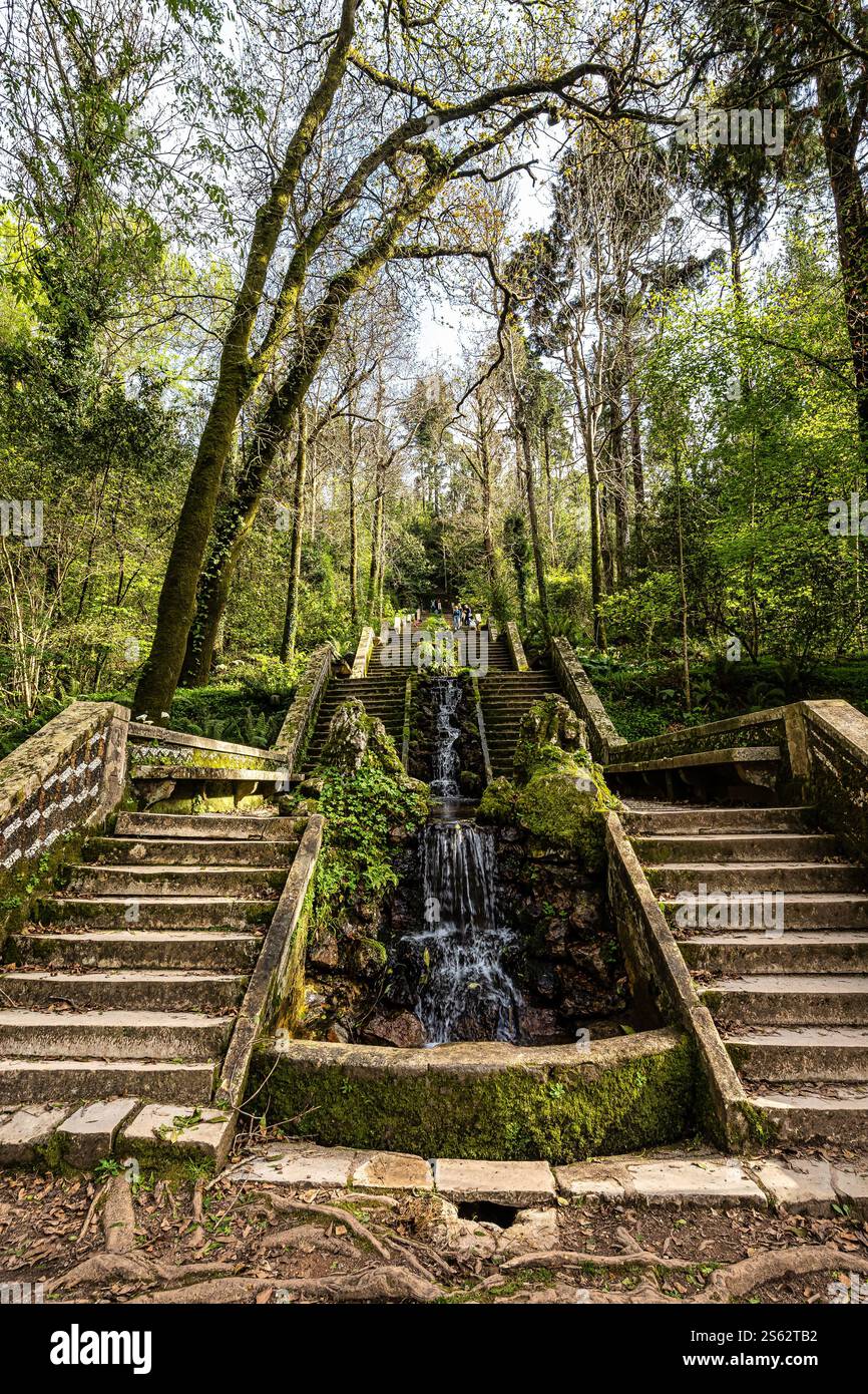 Famous water stairway Fonte Fria in the magical ancient forest of ...