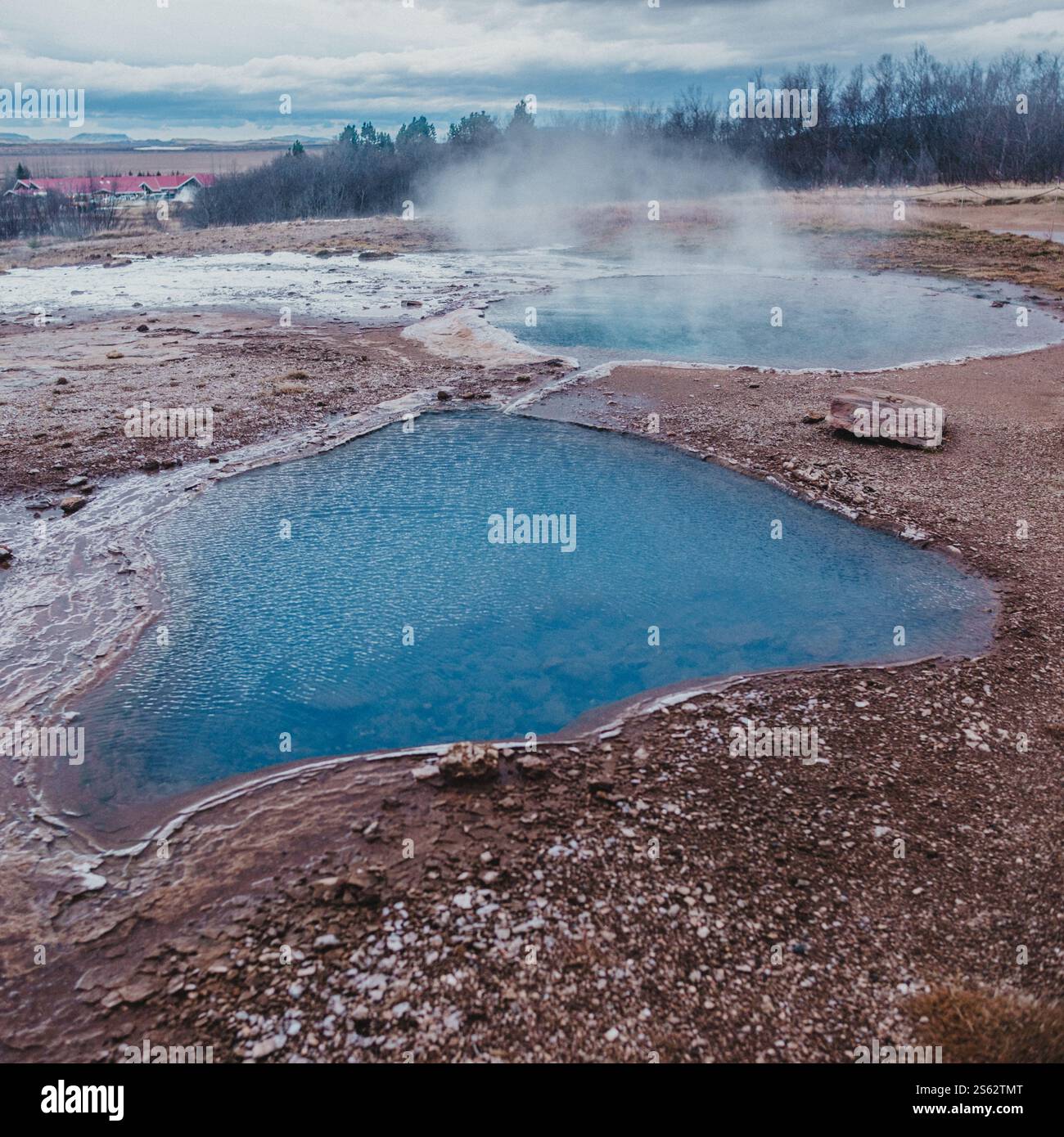 Steaming geothermal pools in Haukadalur Valley, south Iceland, a ...