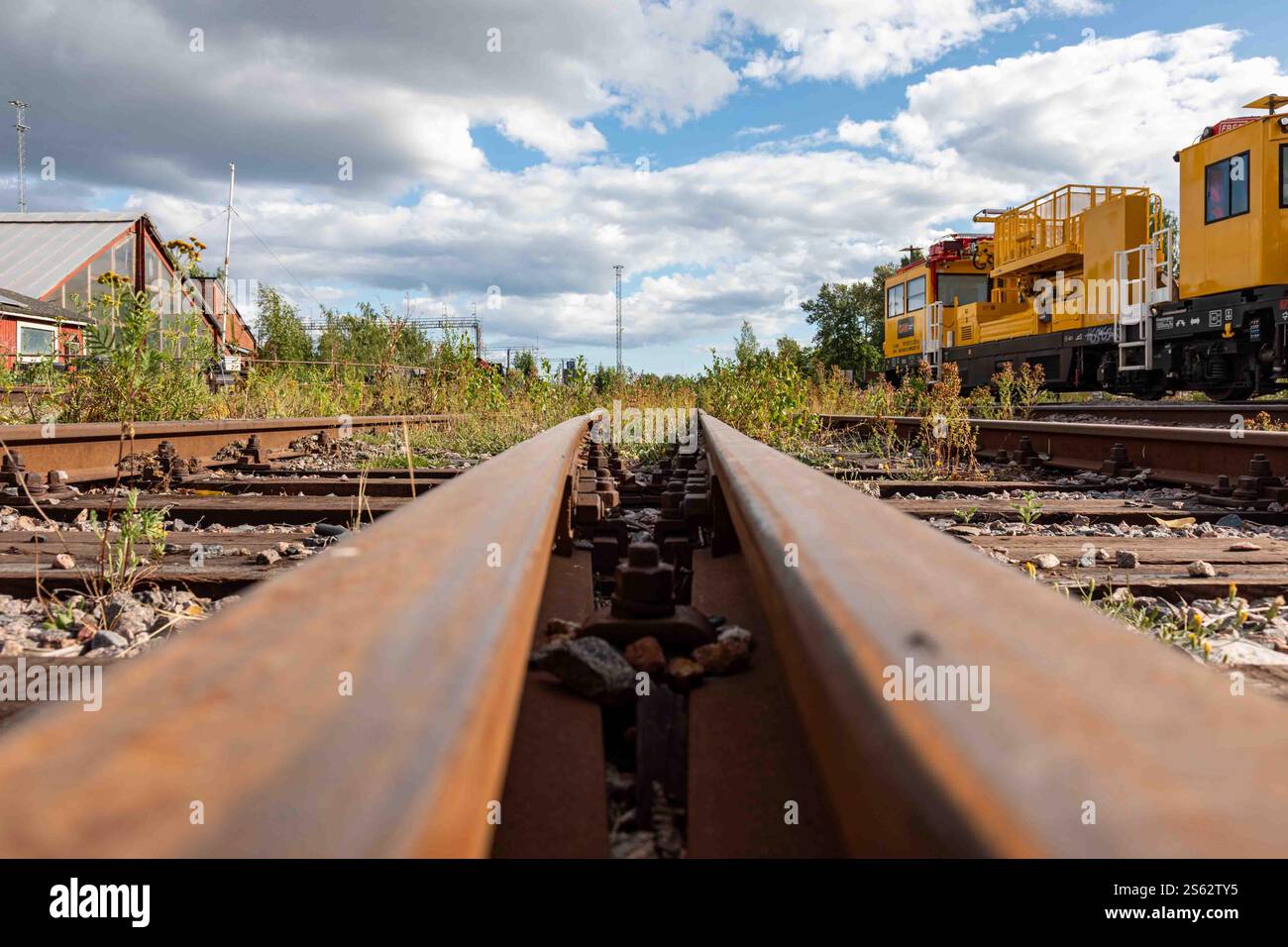 Rusty old tracks at old rail yard, overgrown with weeds and bushes, in ...