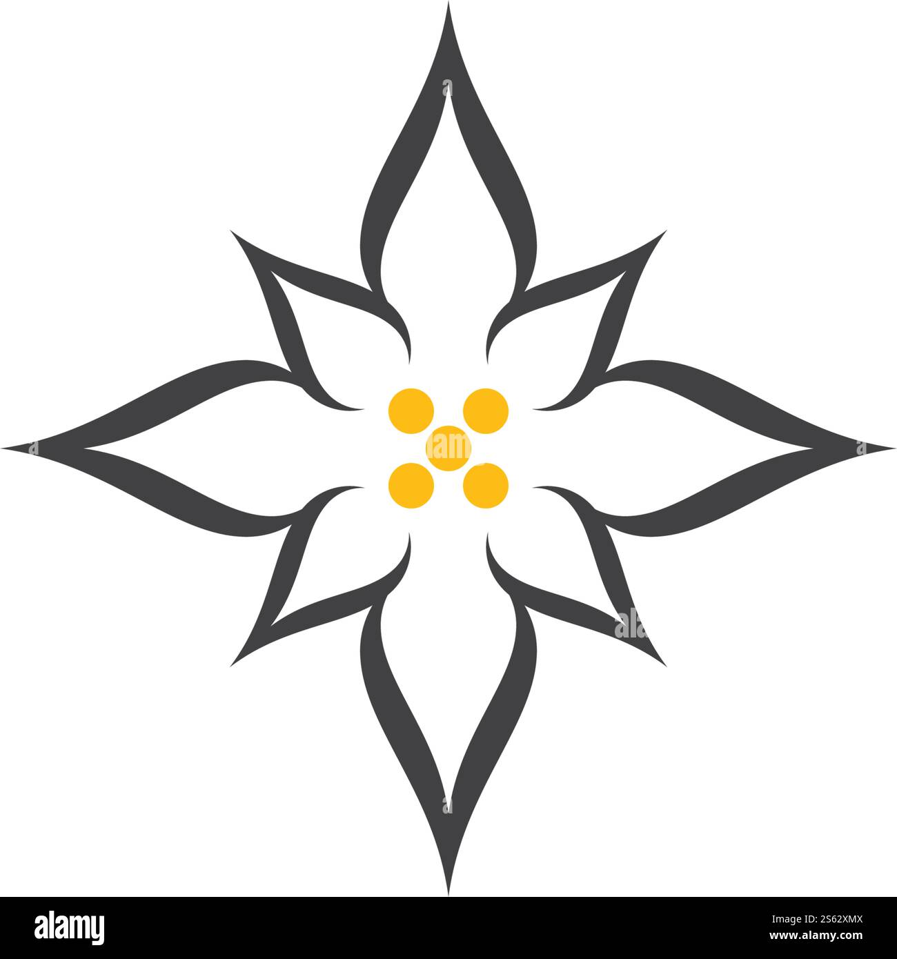 Edelweiss logo illustration vector design Stock Vector Image & Art - Alamy