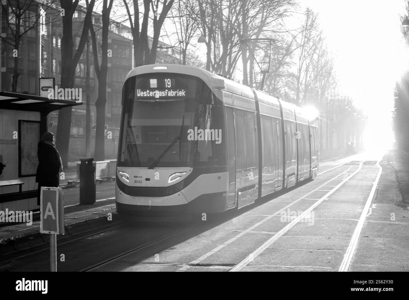 Tram 19 With The Sun From The Back At Amsterdam The Netherlands 15-1 ...