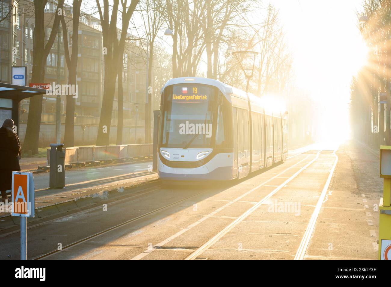 Tram 19 With The Sun From The Back At Amsterdam The Netherlands 15-1 ...