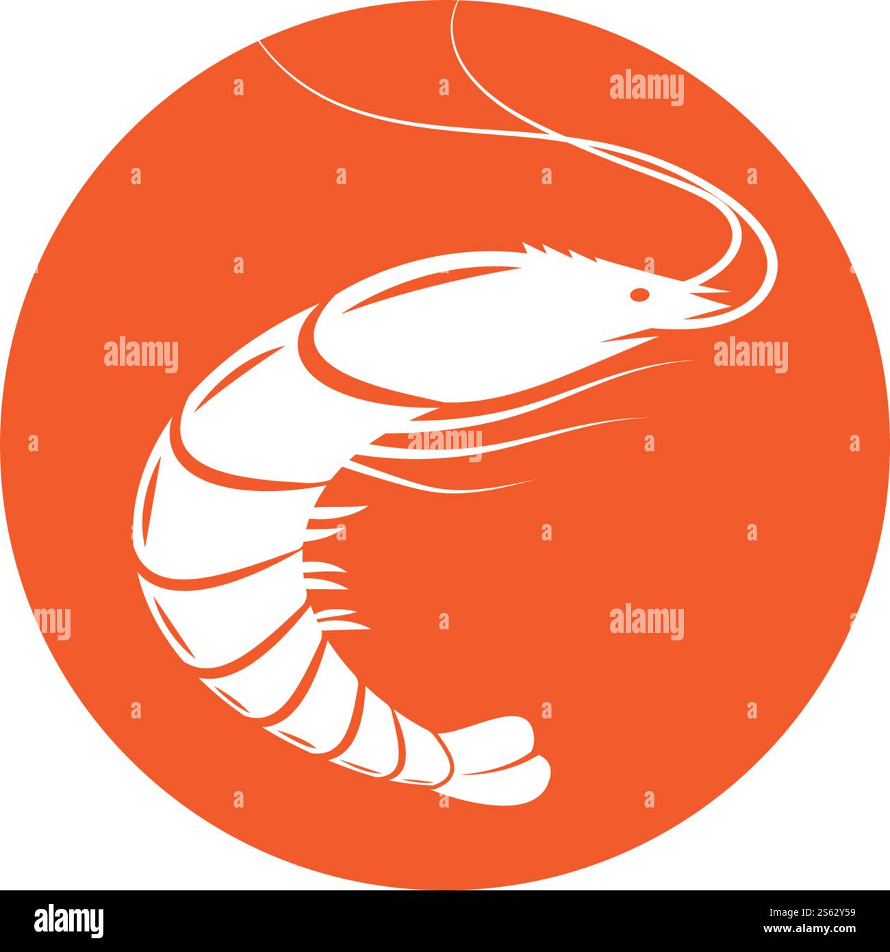 Shrimp illustration logo vector design Stock Vector Image & Art - Alamy