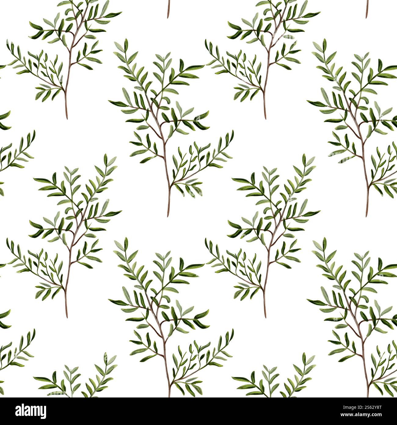 pistachio tree branches. Seamless pattern. Watercolor illustration ...