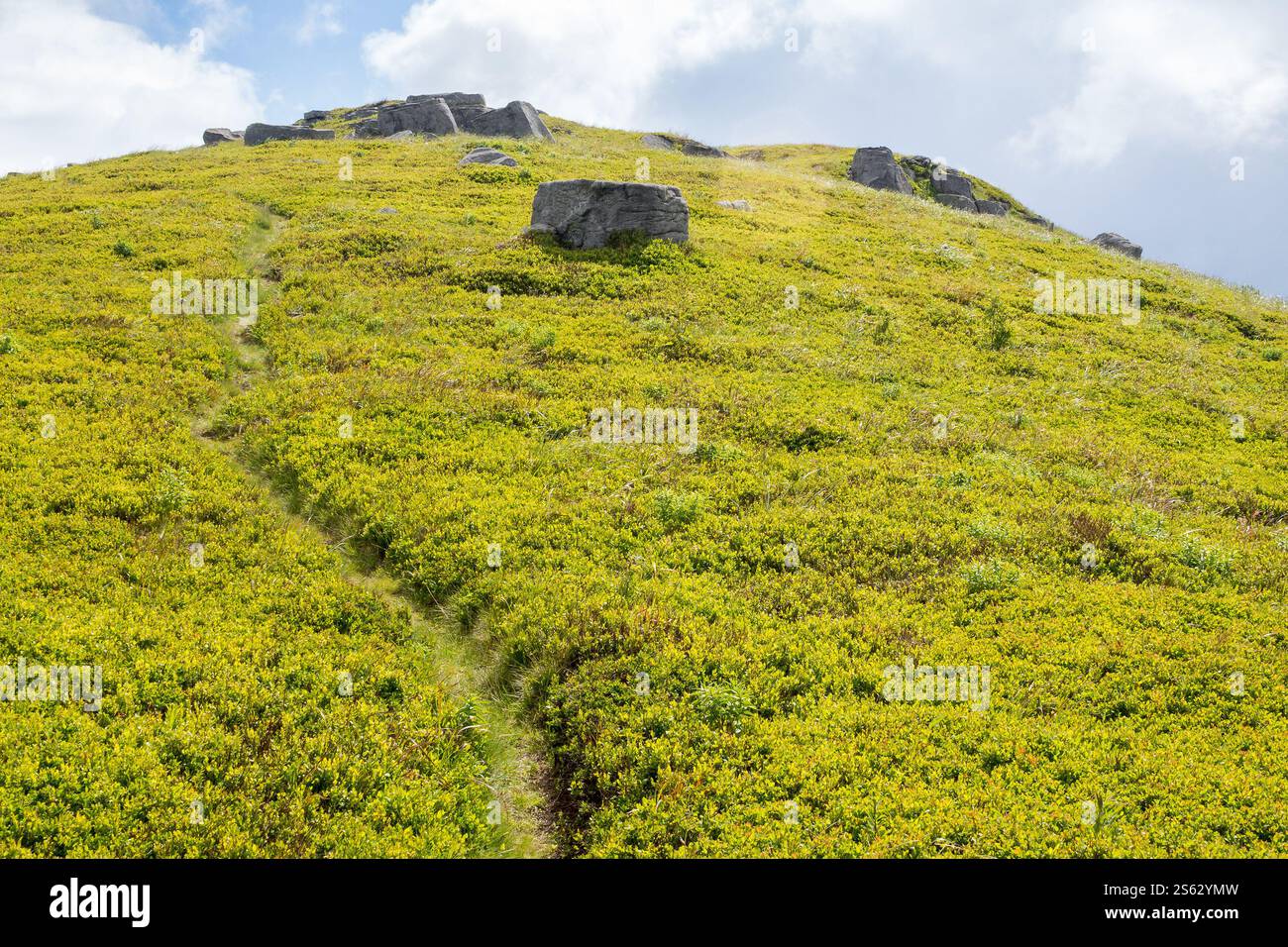 path winding uphill. steep slope challenge. alpine scenery with grassy ...