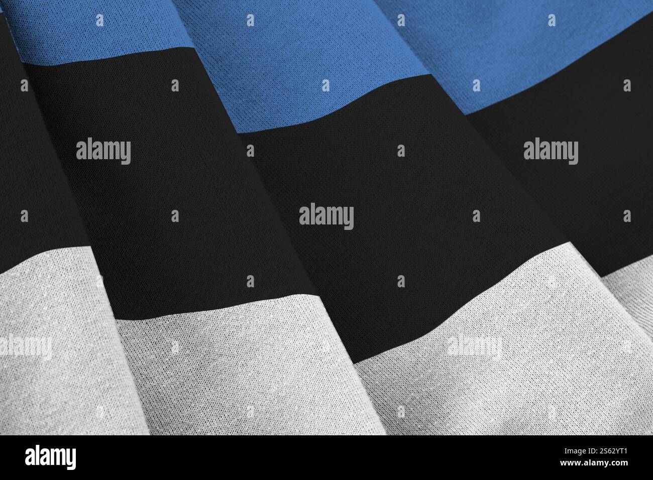 Estonia flag with big folds waving close up under the studio light ...