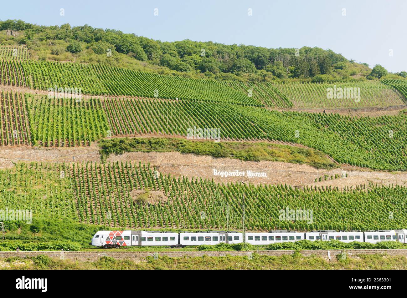 The rhine river castles train hi-res stock photography and images - Alamy