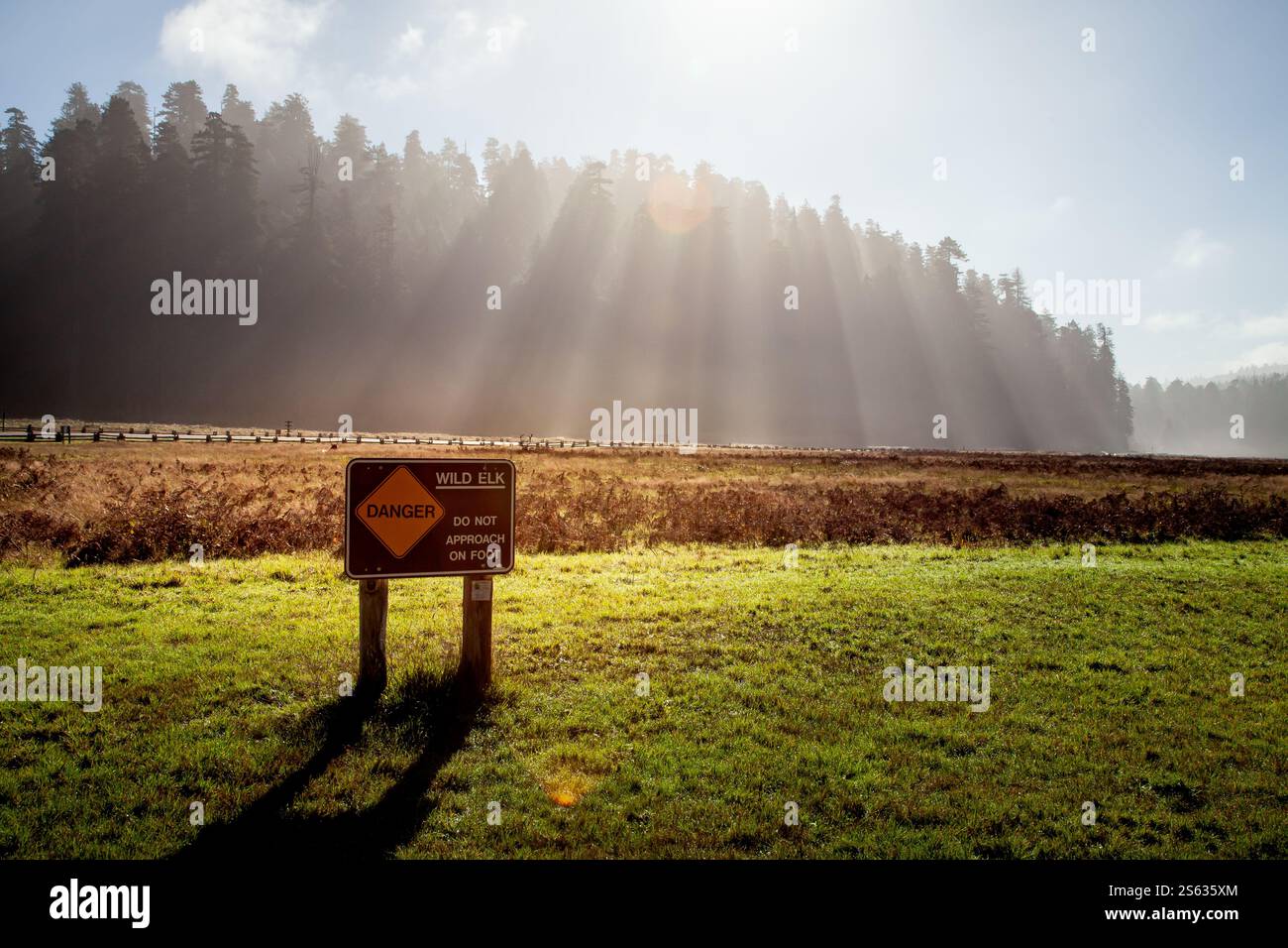 A warning sign advises against approaching dangerous wildlife in a ...