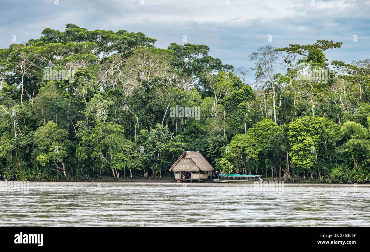 Thatched local house hut on riverbamk, Napo River in the Amazon ...