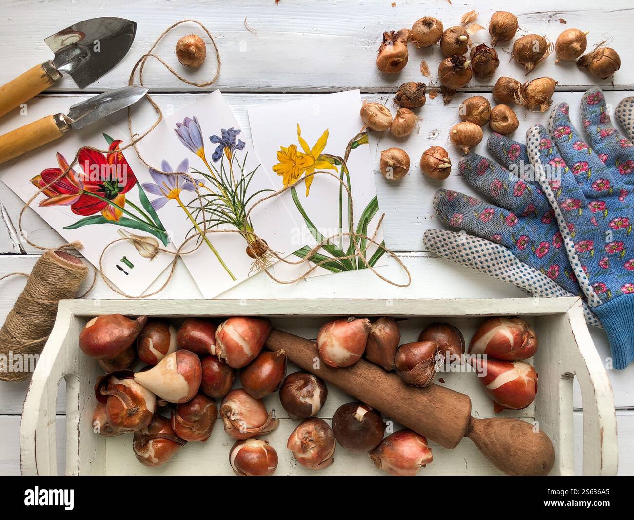 Top view gloves tools hi-res stock photography and images - Alamy