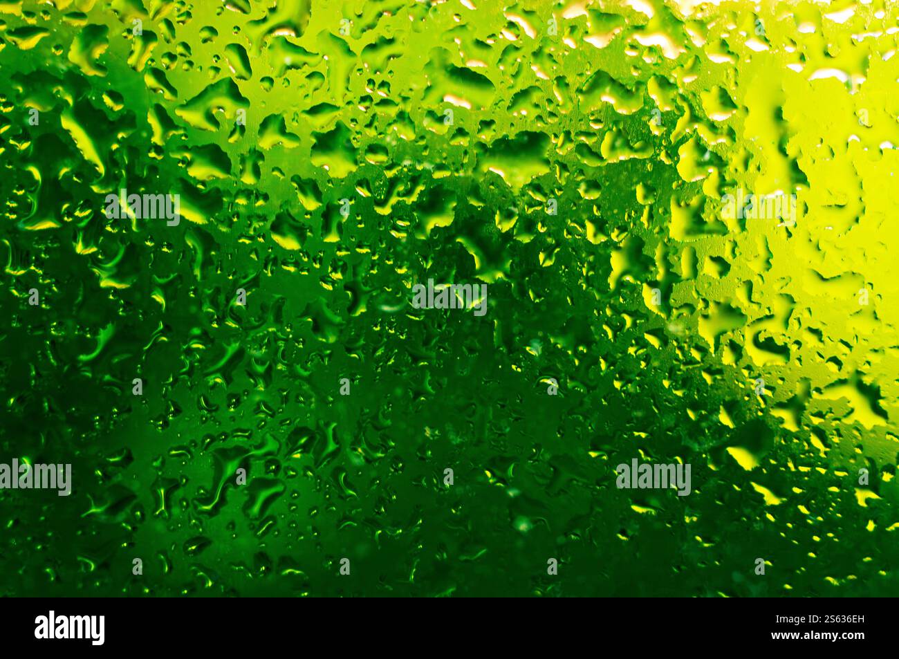 Green background with water drops for mobile phone and computer ...